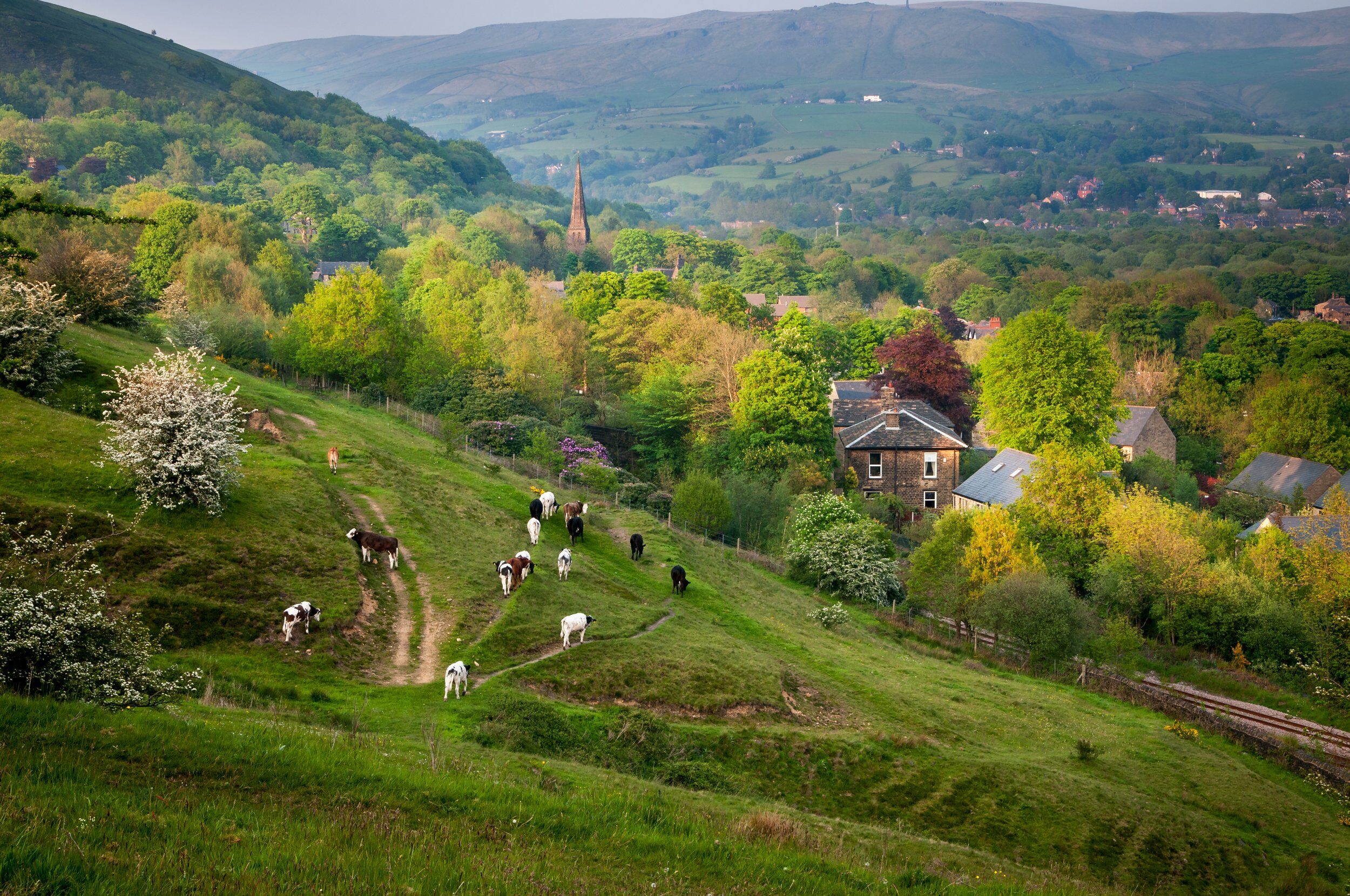 Landmark ‘Future Countryside’ conference aims to put ...